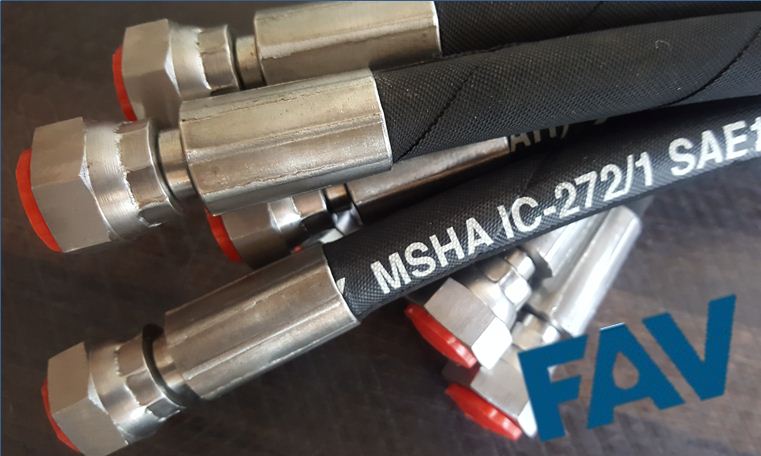 Hose Assemblies - FAV